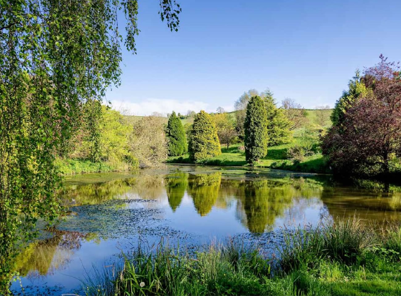 Batcombe Vale Campsite & Camping • Small Campsites Batcombe Vale Campsite & Camping • Small Campsites
