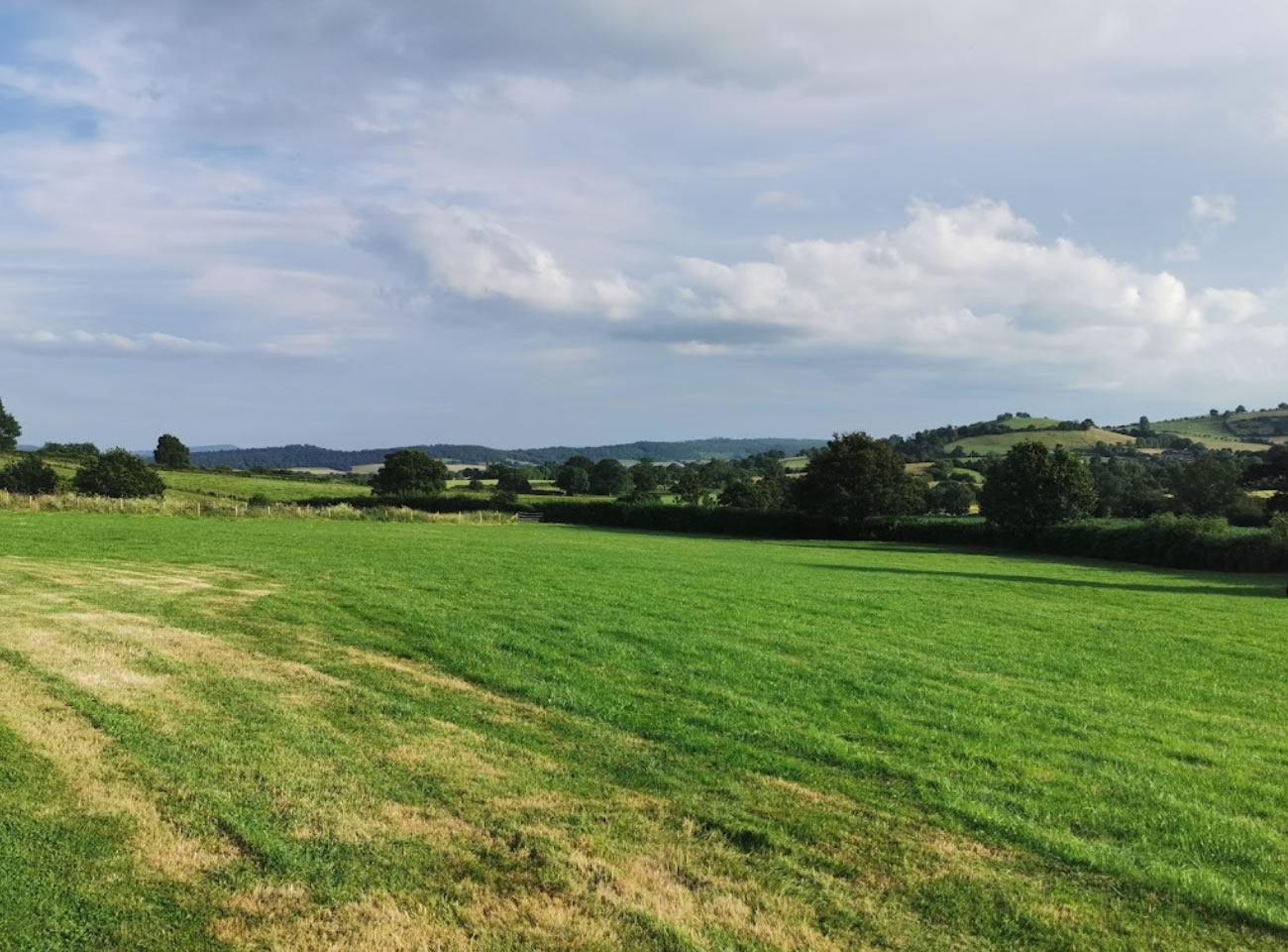 Ley Hill Farm • Small Campsites