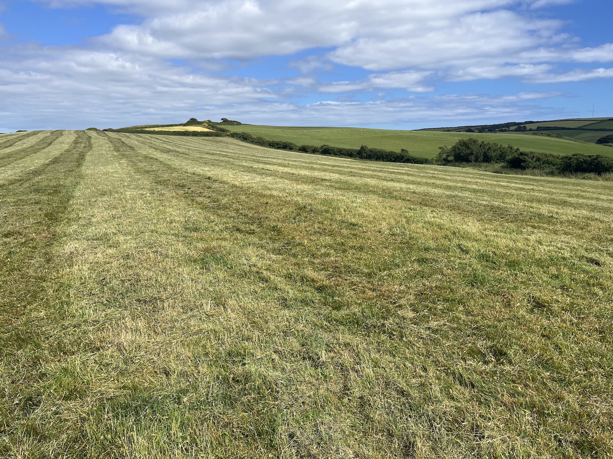 Cove Camping • Small Campsites