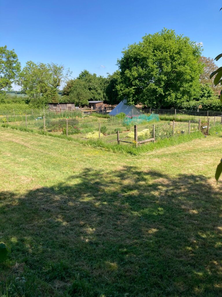 Mill House Camping • Earl Soham • Small Campsites